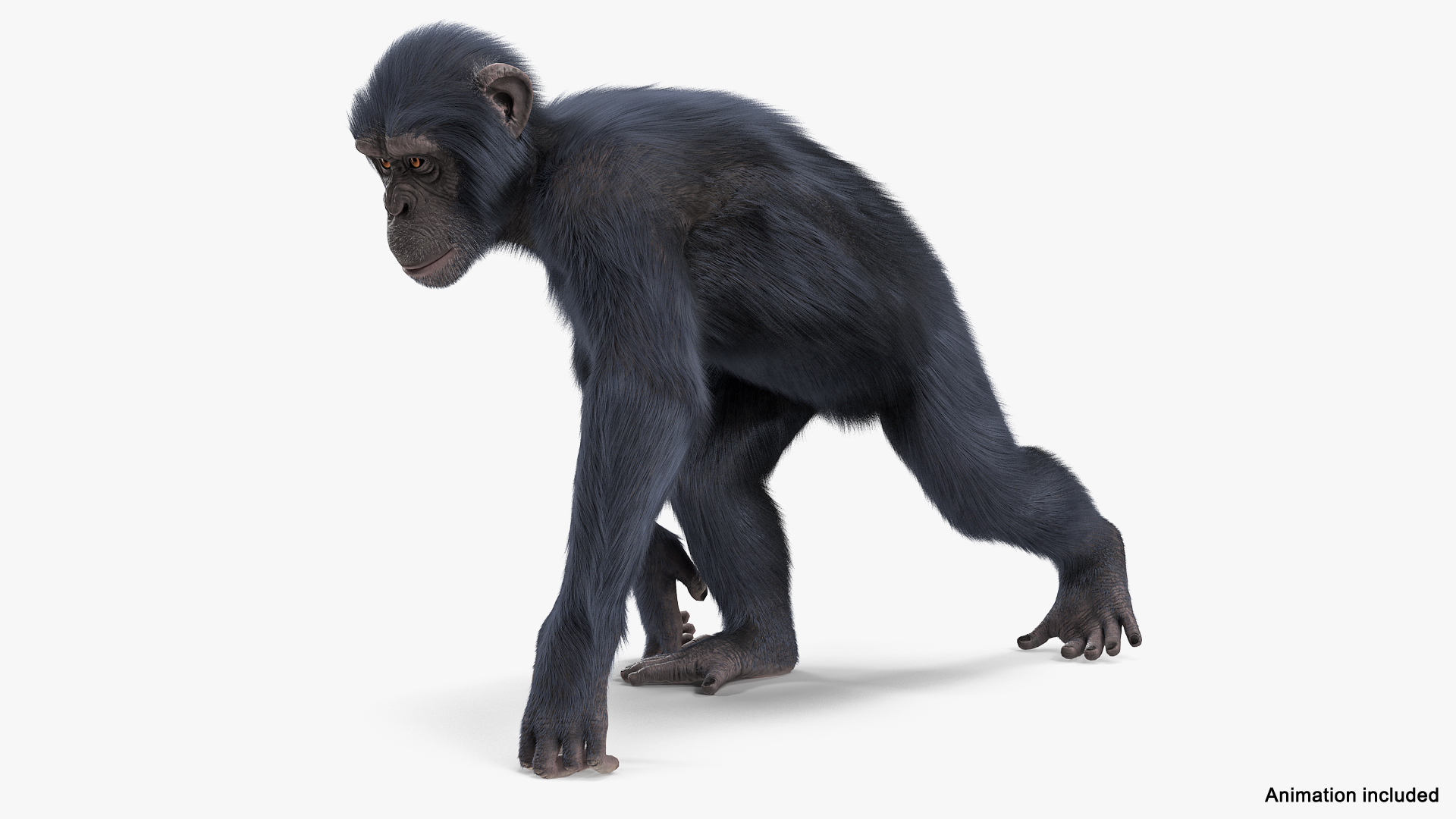 Chimpanzee Walking Animal Dark 3D Model - TurboSquid 1435957