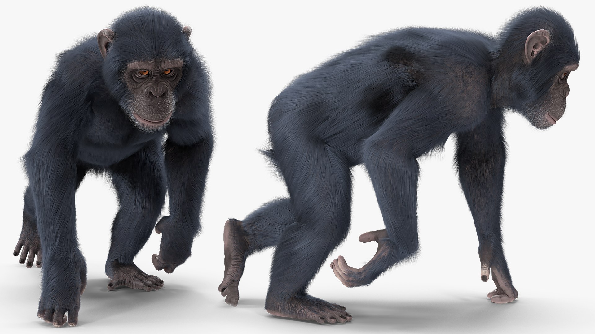 Chimpanzee Walking Animal Dark 3D Model - TurboSquid 1435957