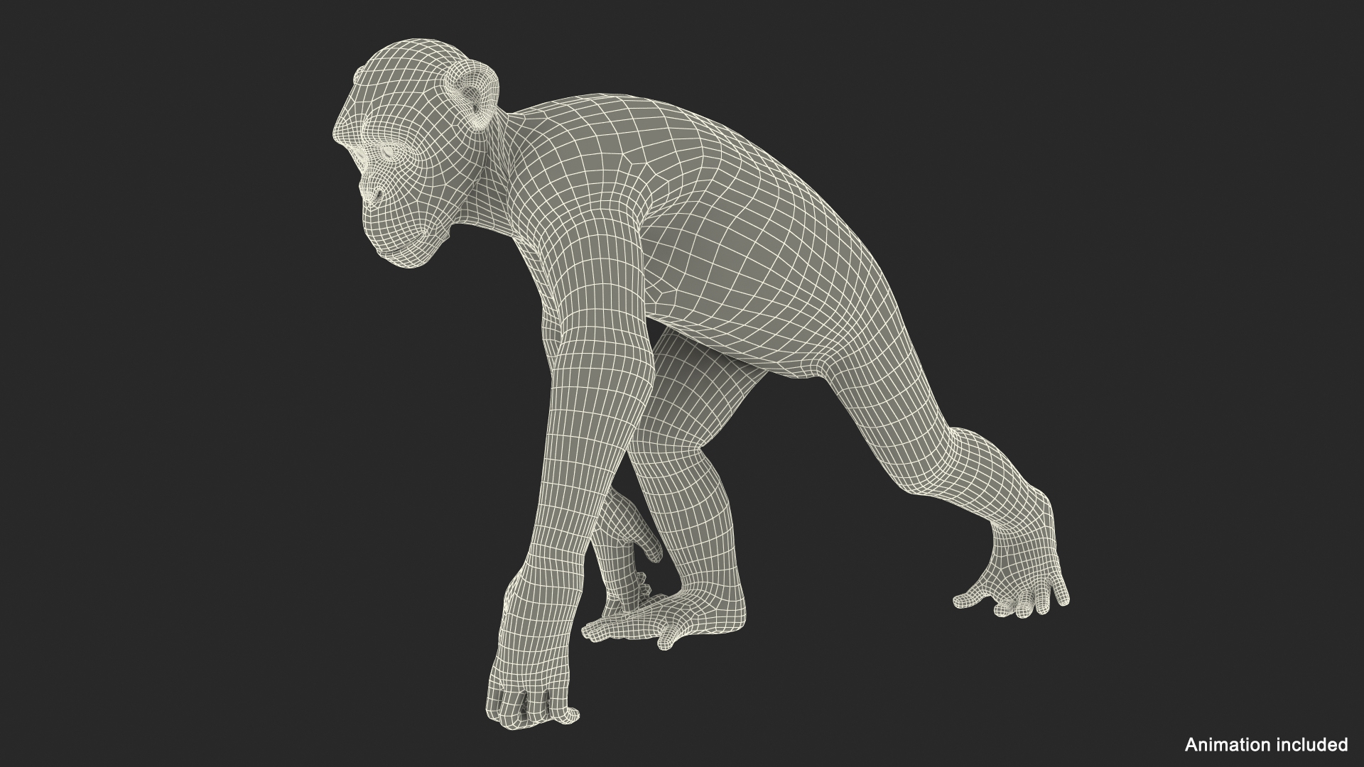 Chimpanzee Walking Animal Dark 3D Model - TurboSquid 1435957
