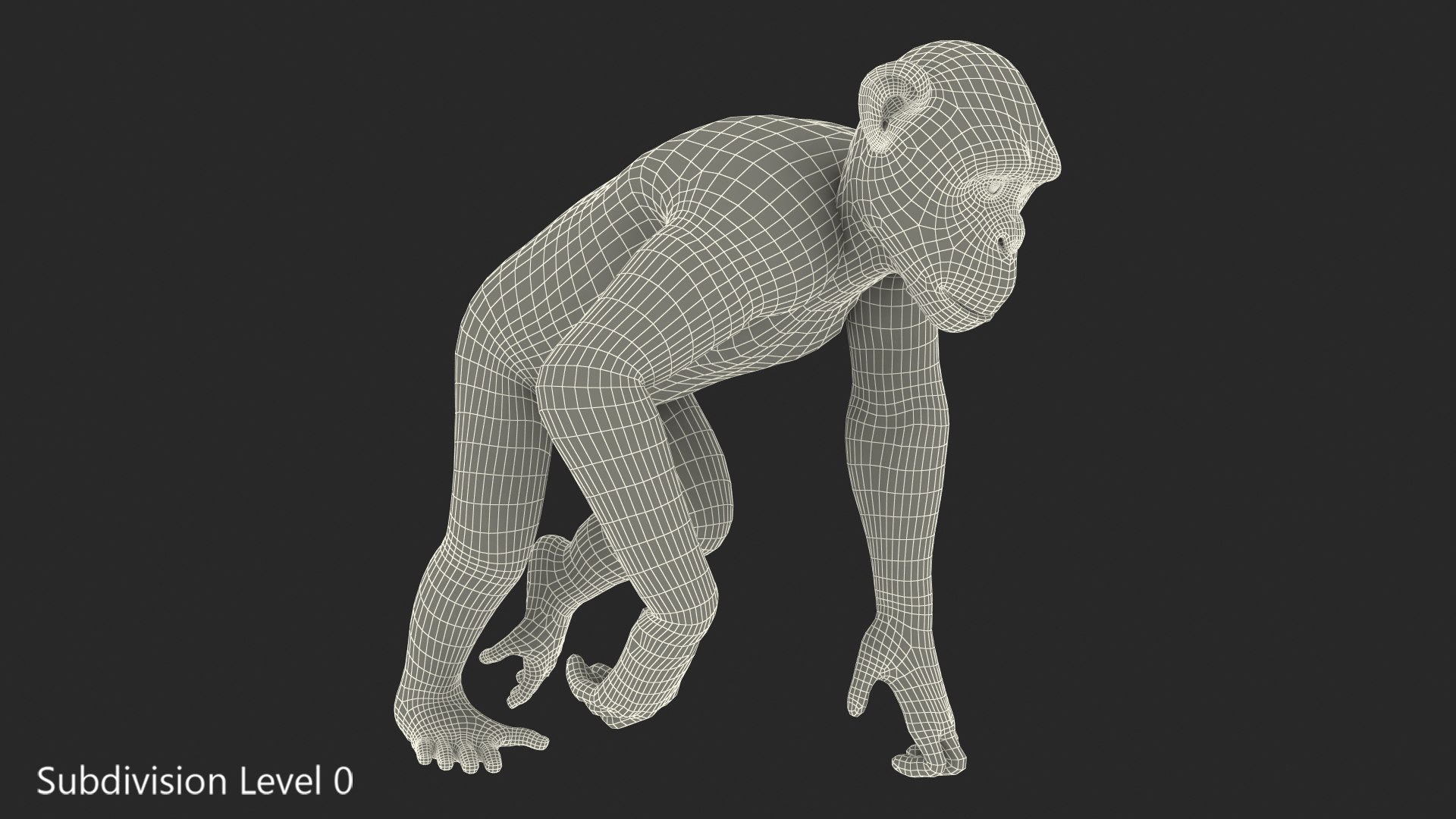 Chimpanzee Walking Animal Dark 3D Model - TurboSquid 1435957