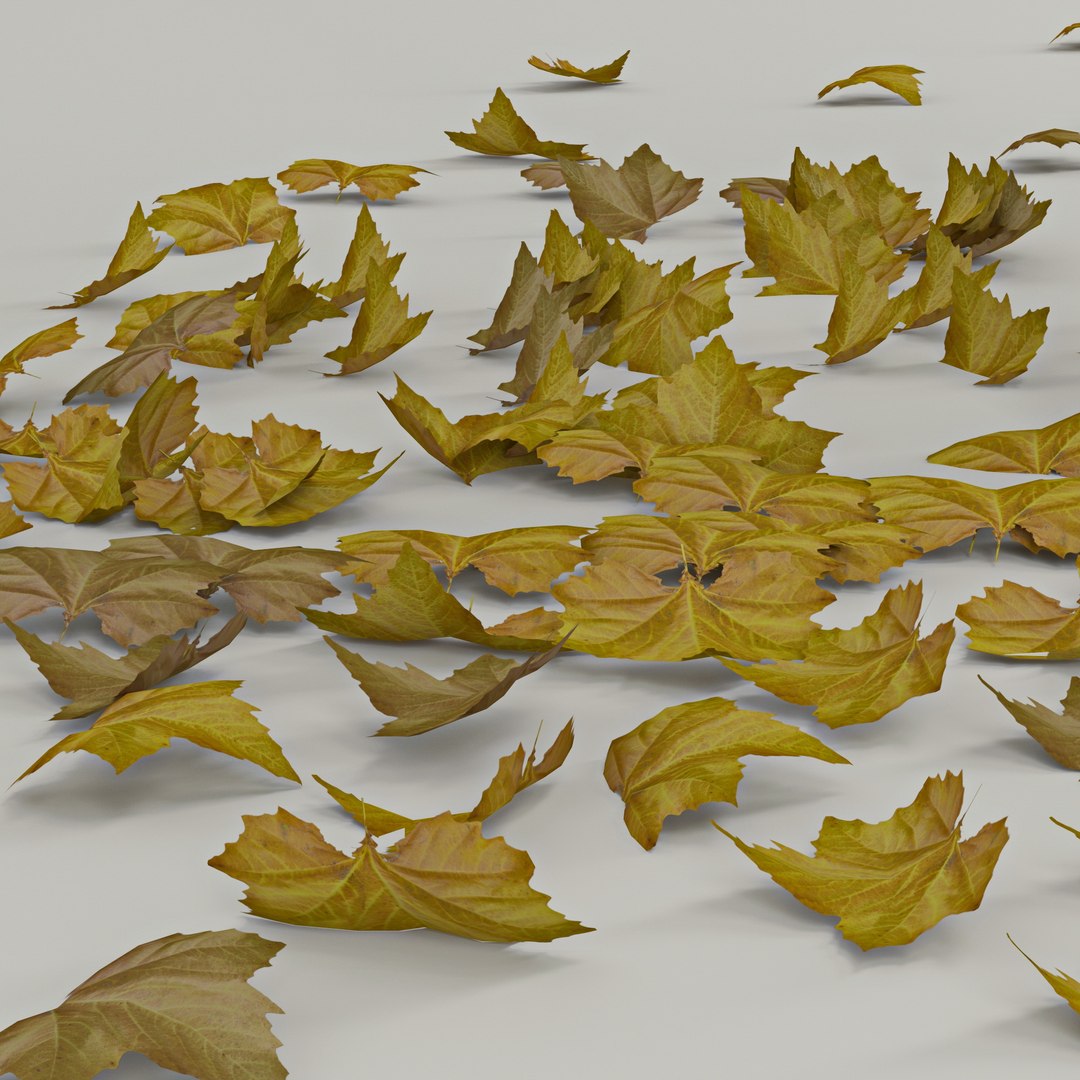 3d Model Of Autumn Tree Bark