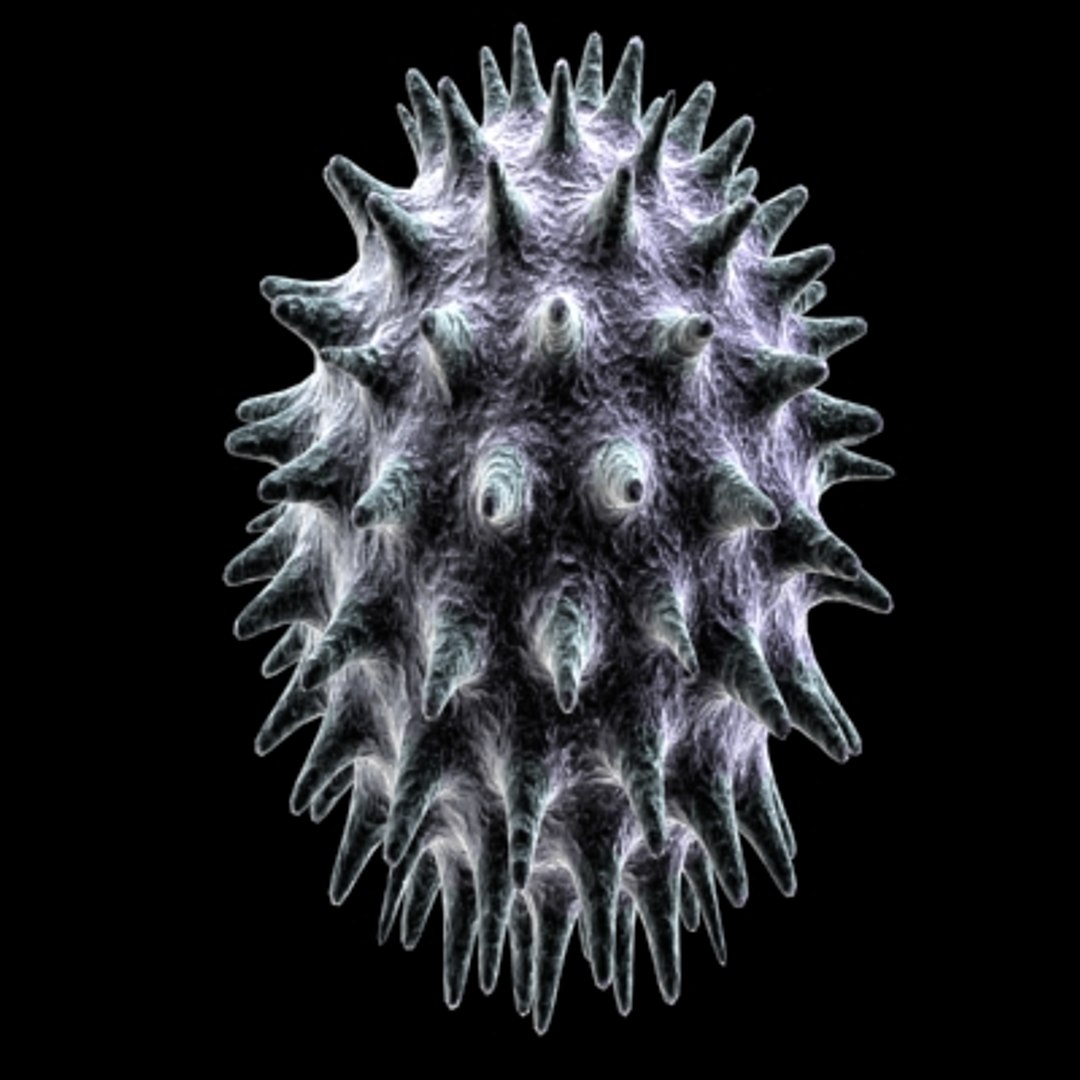 20 Micro Objects Set 3d Model