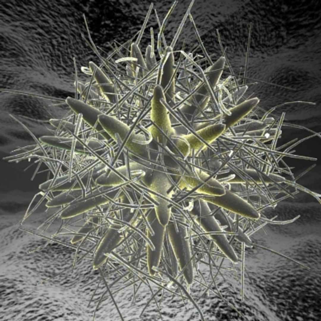 20 Micro Objects Set 3d Model