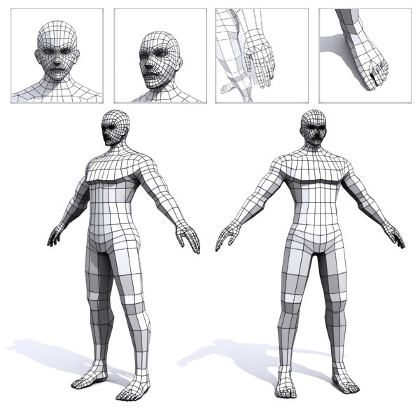 generic female base mesh human max
