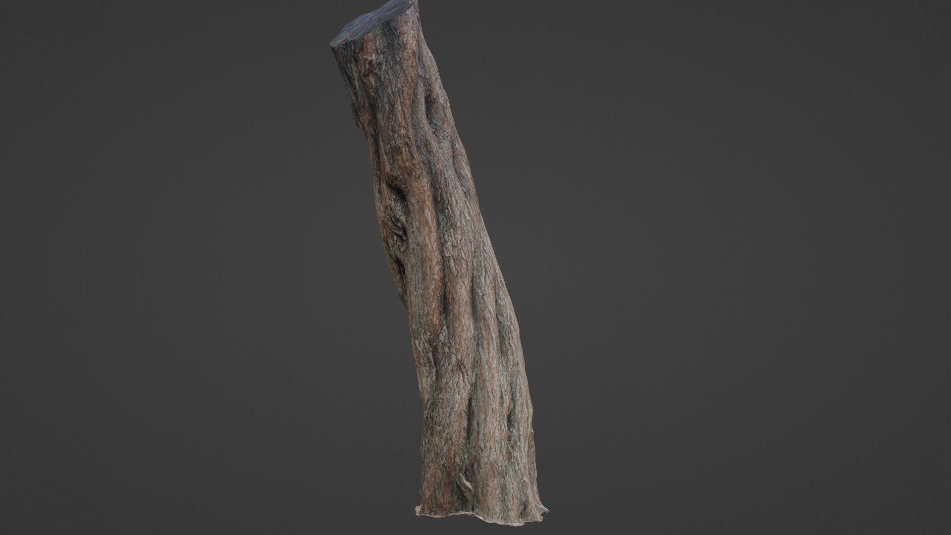 3D Tree Trunk - TurboSquid 2330415