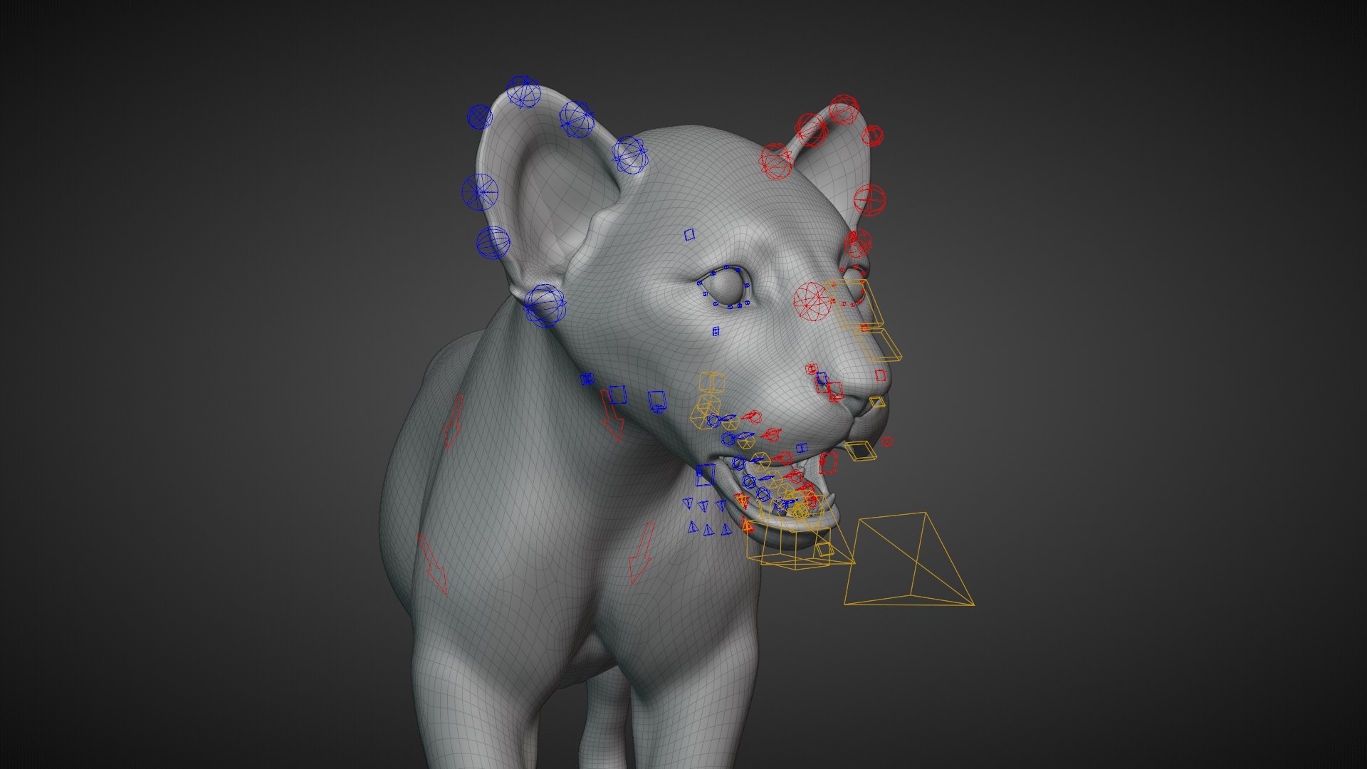 Lion Cub Animated model - TurboSquid 2016560