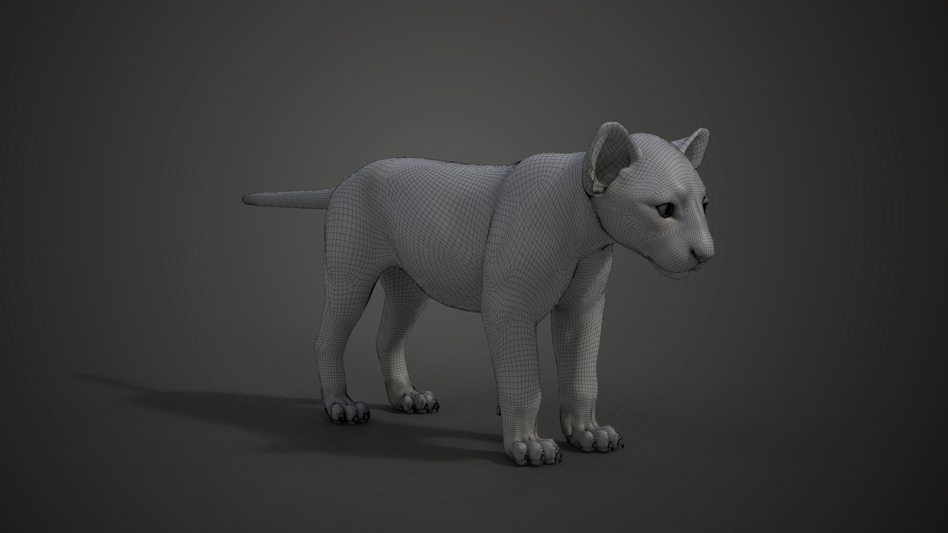 Lion Cub Animated model - TurboSquid 2016560