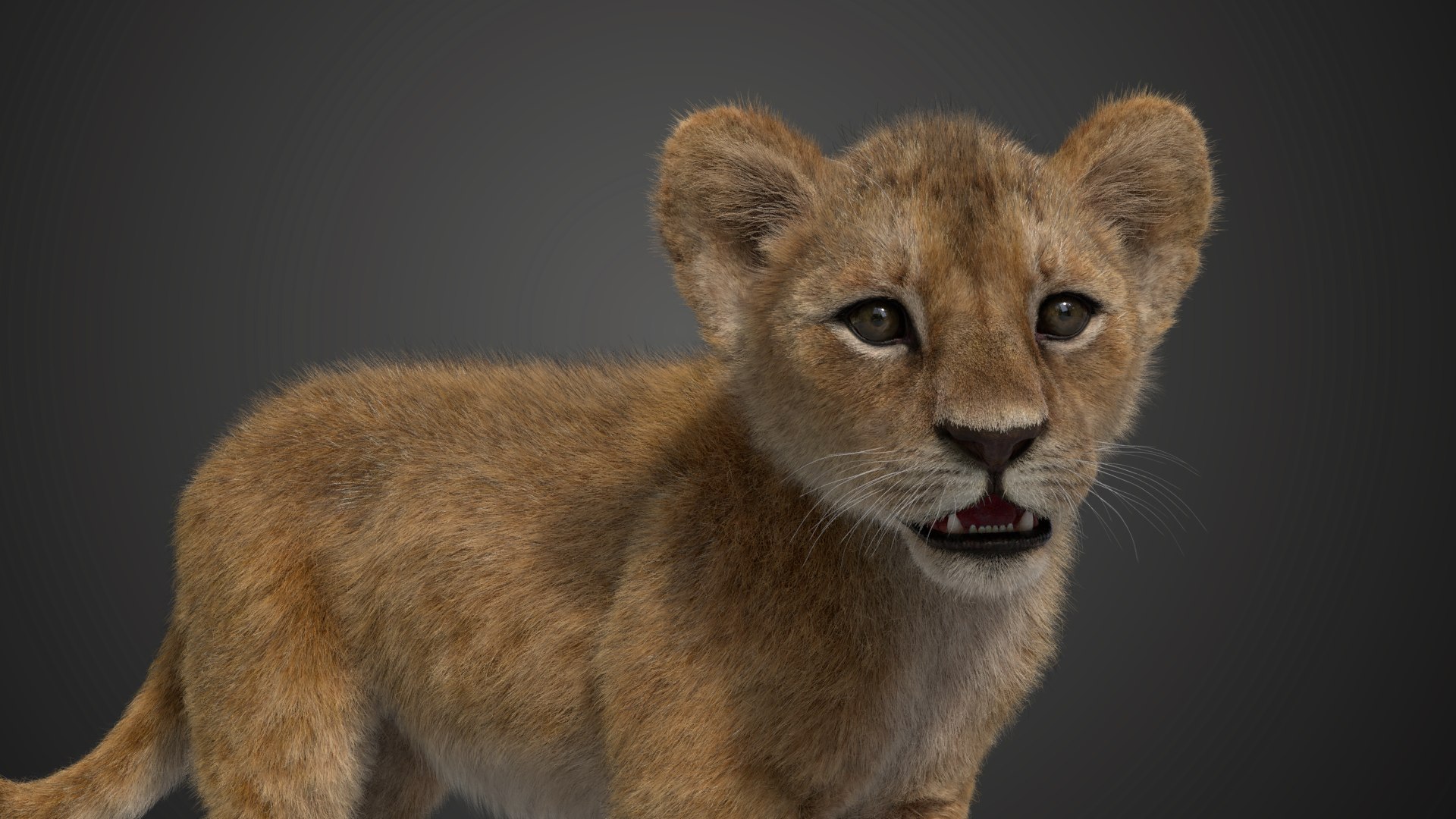 Lion Cub Animated model - TurboSquid 2016560