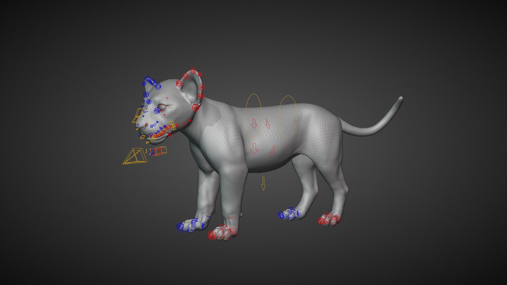 Lion Cub Animated model - TurboSquid 2016560
