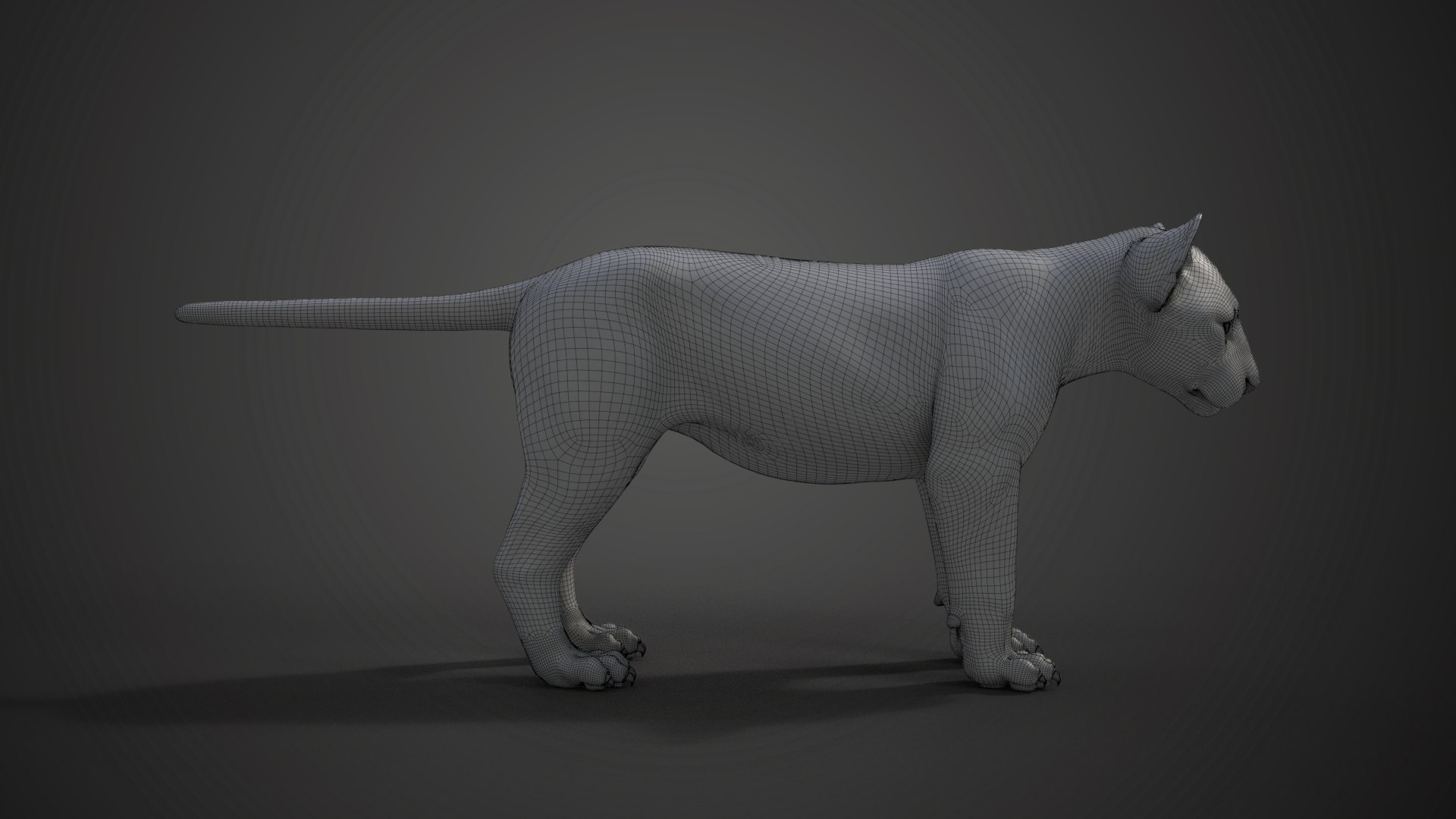Lion Cub Animated model - TurboSquid 2016560