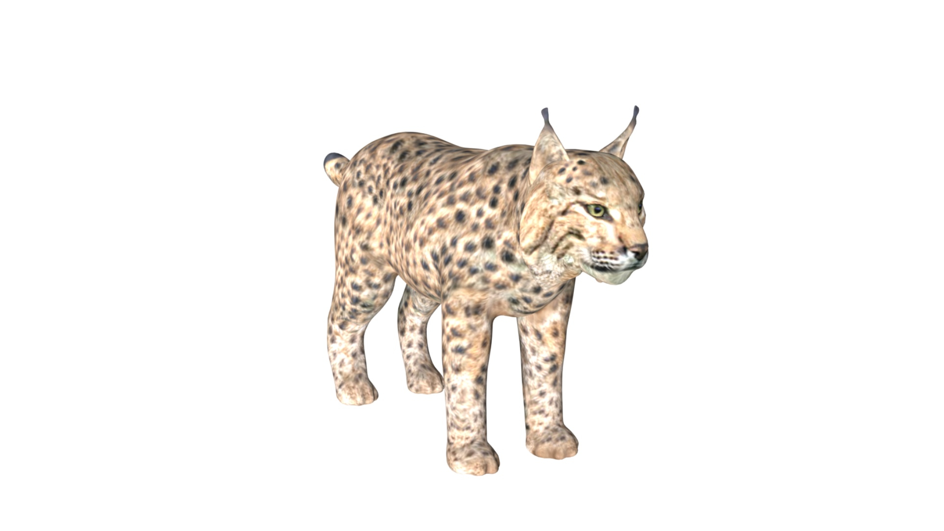 Luchs 3D-Modell - TurboSquid 1766115