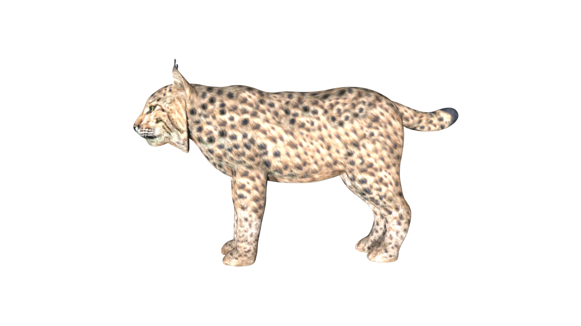 Luchs 3D-Modell - TurboSquid 1766115