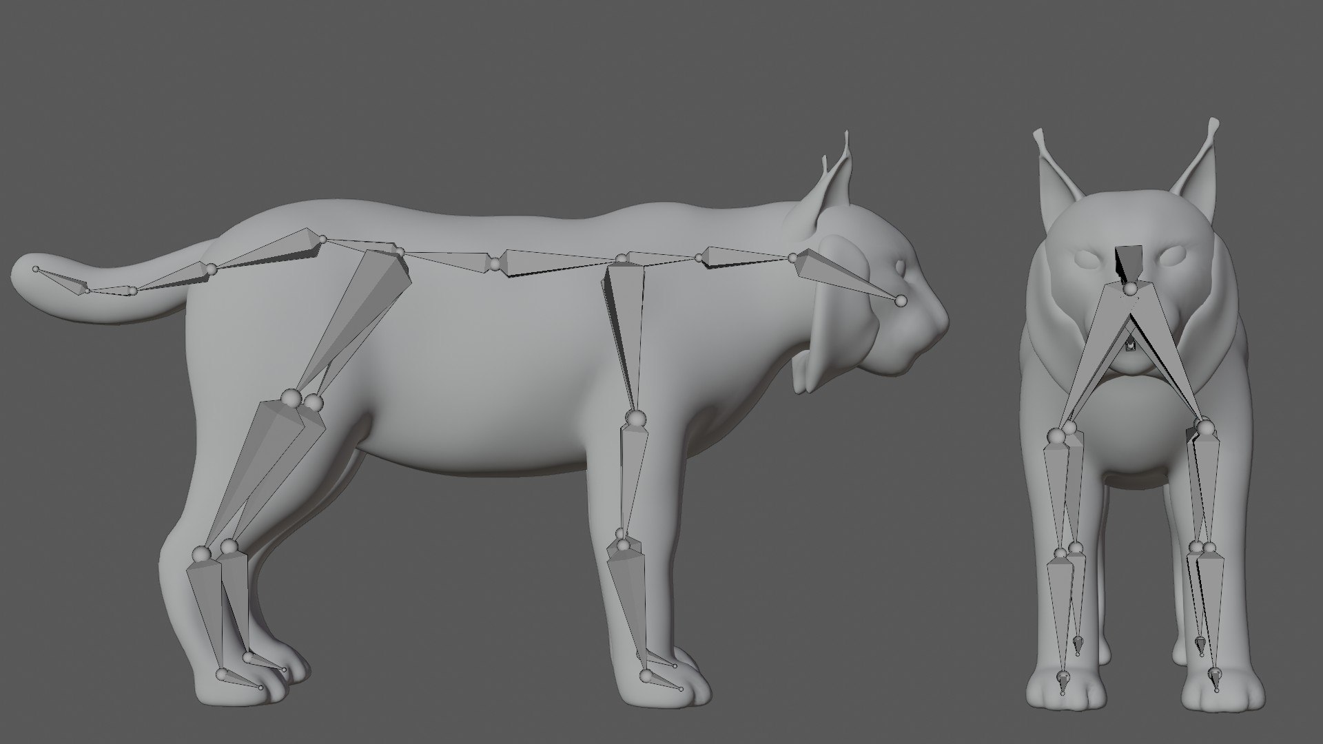 3D Model Lynx - TurboSquid 1766115