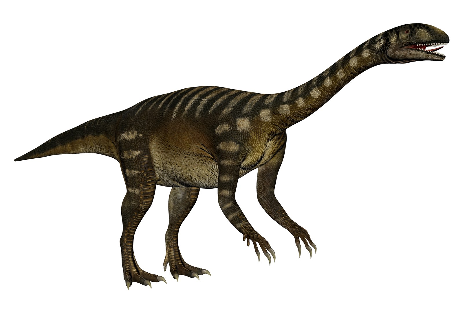 Unaysaurus Dinosaur Triassic Animal Model - TurboSquid 2332550