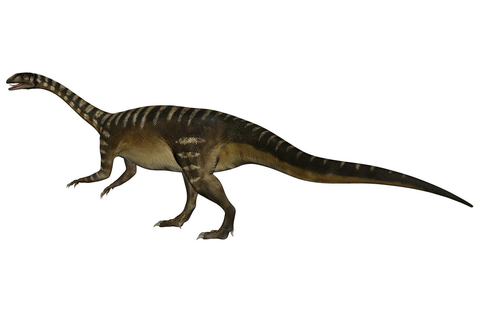 Unaysaurus Dinosaur Triassic Animal Model - TurboSquid 2332550