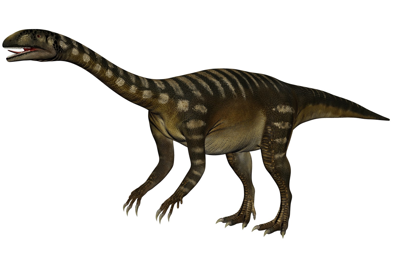 Unaysaurus Dinosaur Triassic Animal Model - TurboSquid 2332550