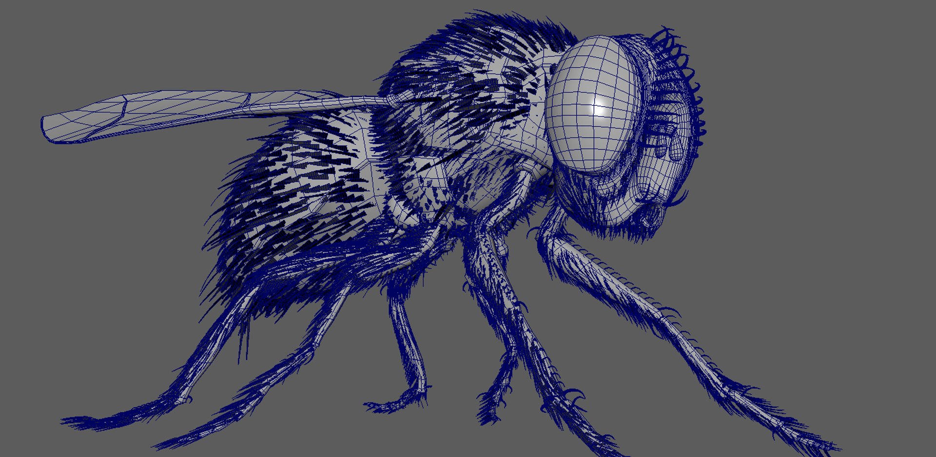 Fly Insect 3D - TurboSquid 1593089