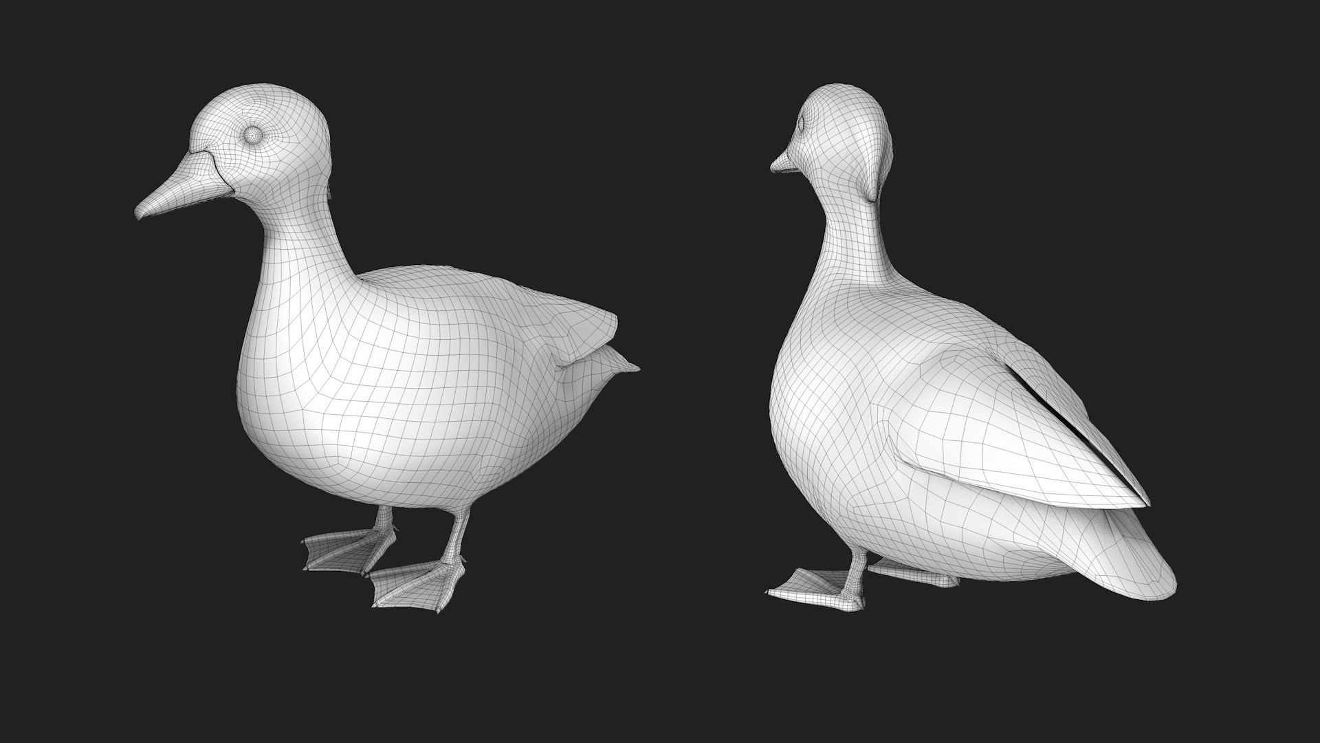 Ruddy Shelduck Red Duck 3D Model - TurboSquid 2349296