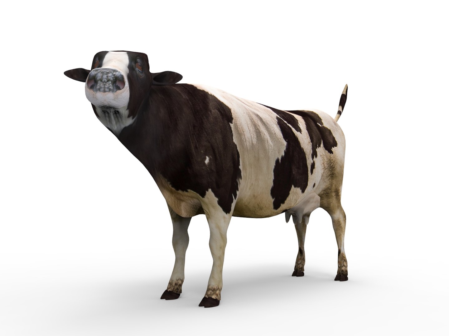 Cow Rigged 3D Model - TurboSquid 1197669