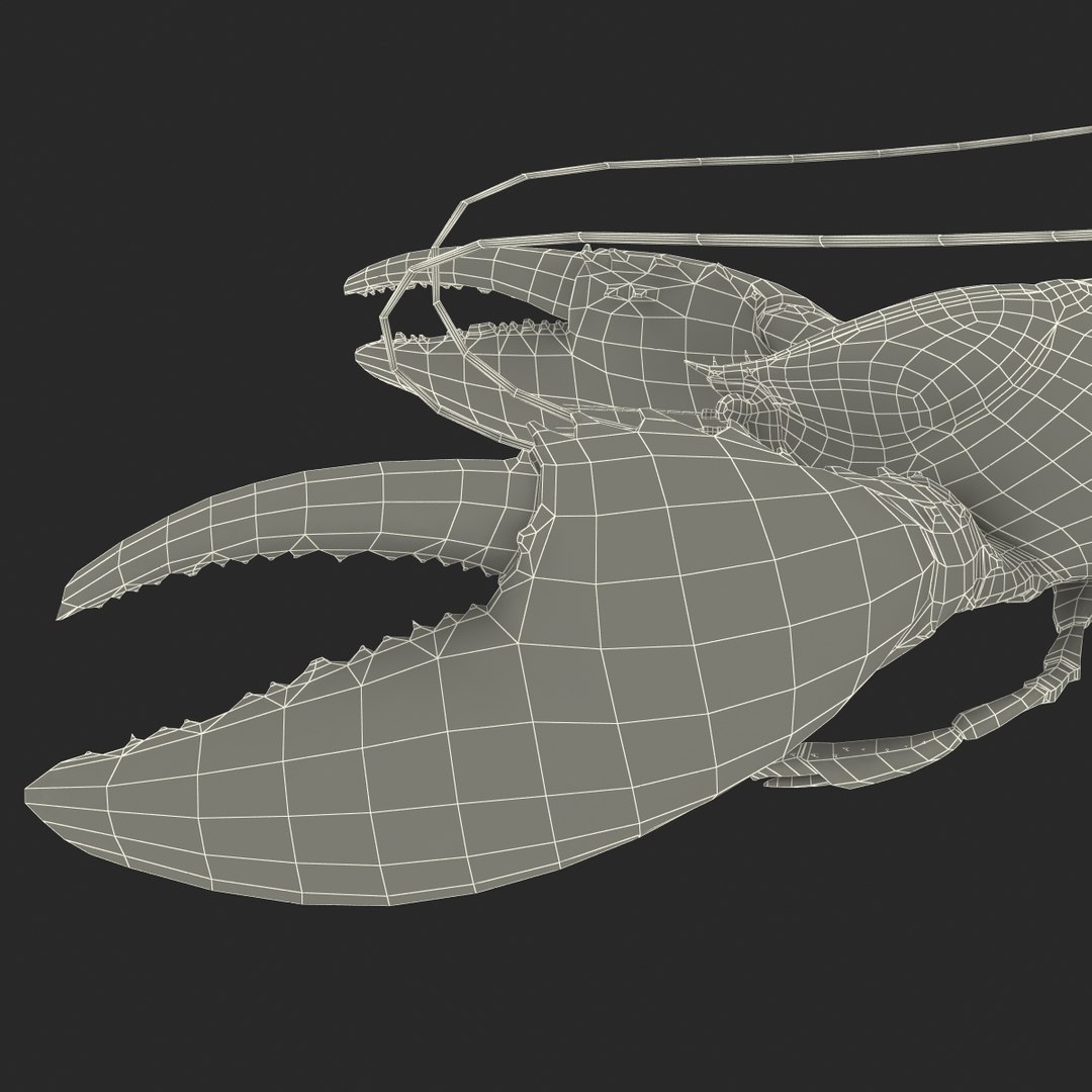 lobster 3d c4d