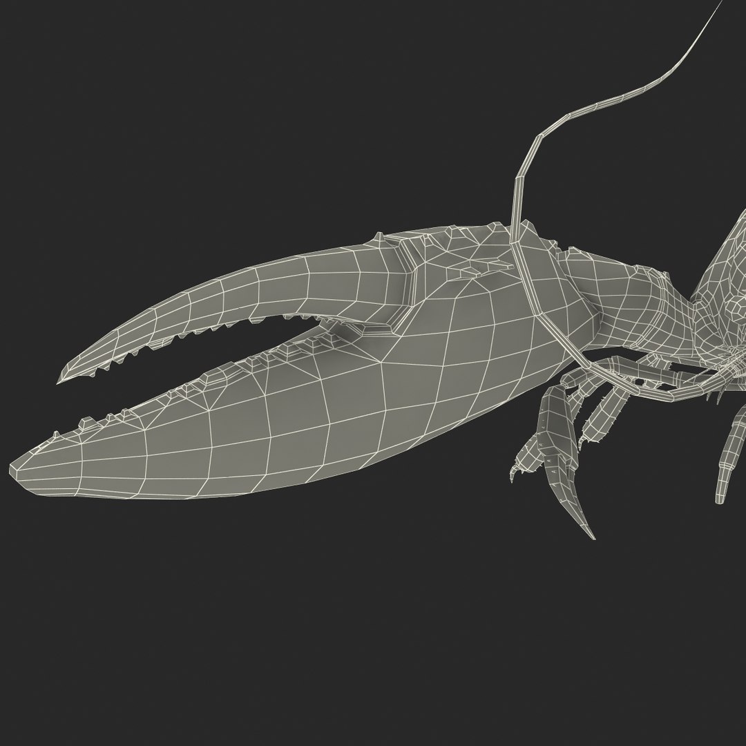 lobster 3d c4d