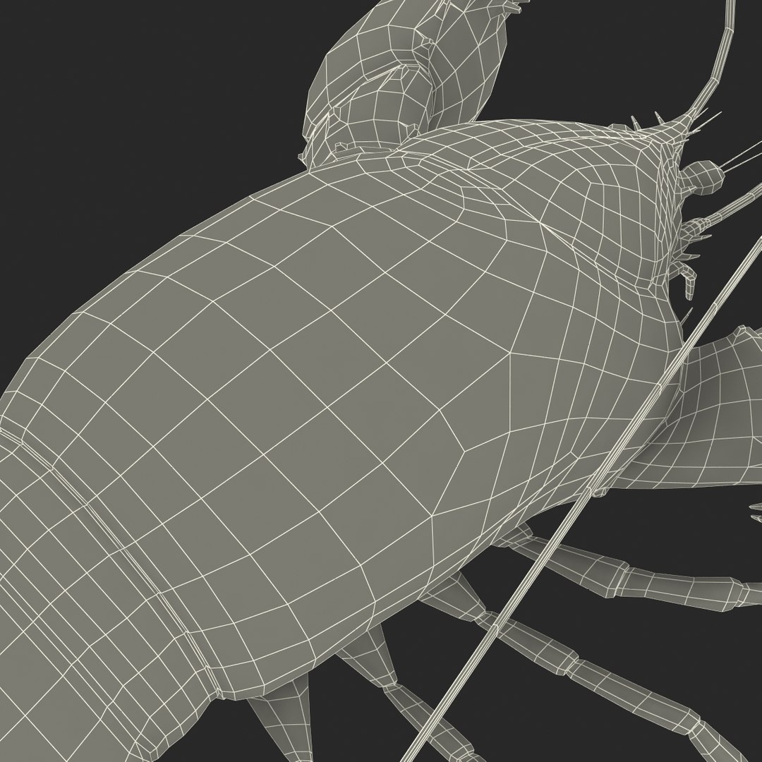 lobster 3d c4d