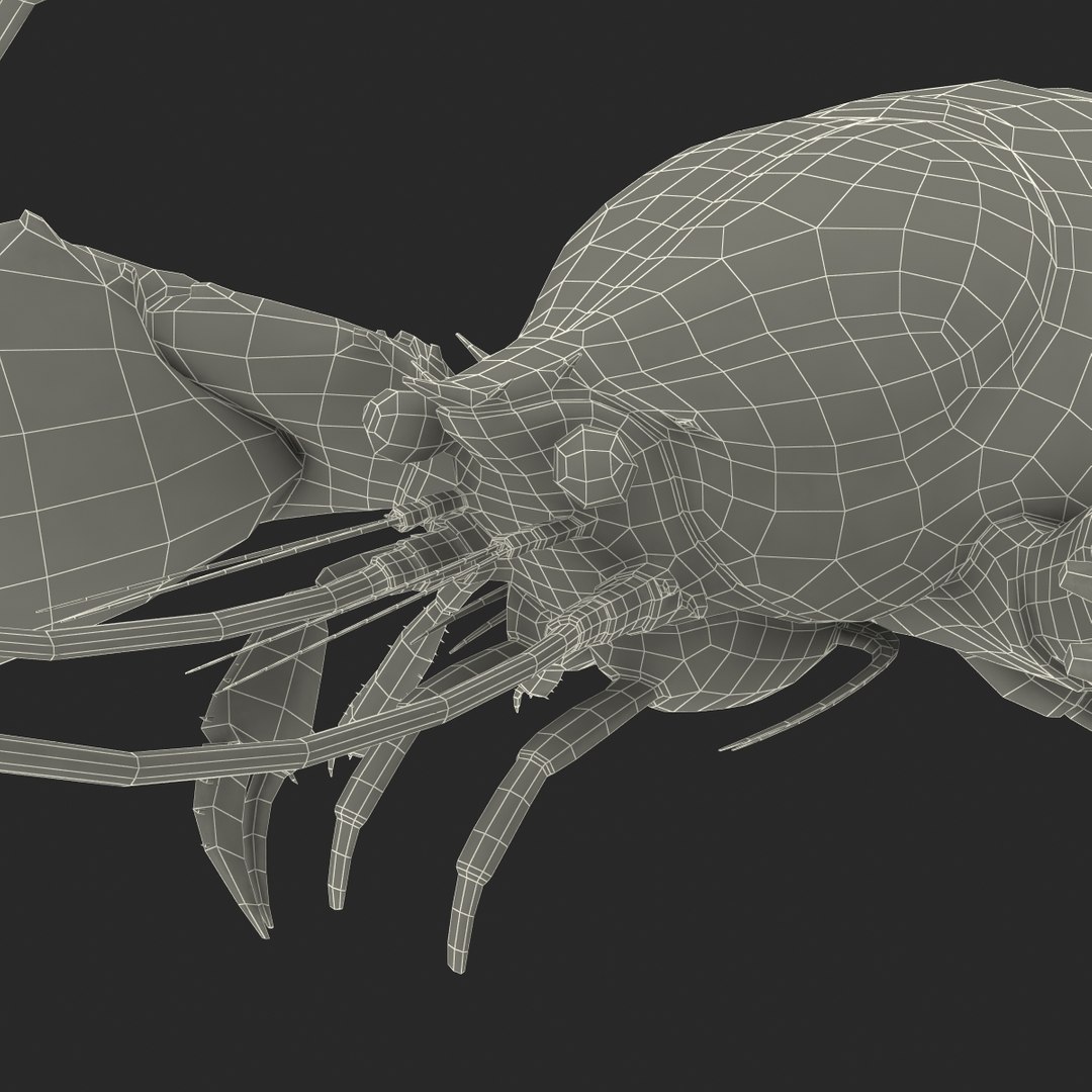 lobster 3d c4d