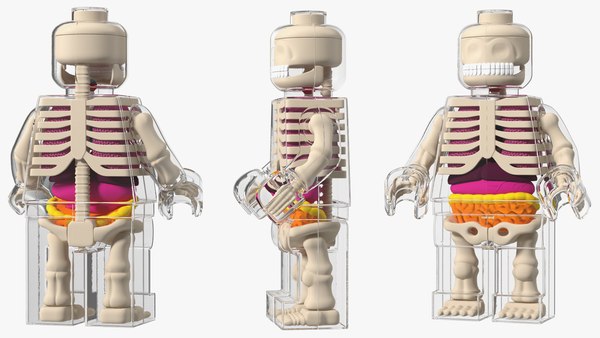Vidro anatômico LEGO Man Modelo 3D - TurboSquid 1820874