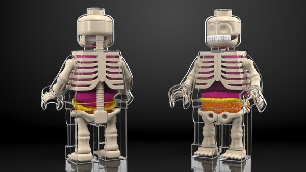 Anatomical LEGO Man Glass 3D model - TurboSquid 1820874