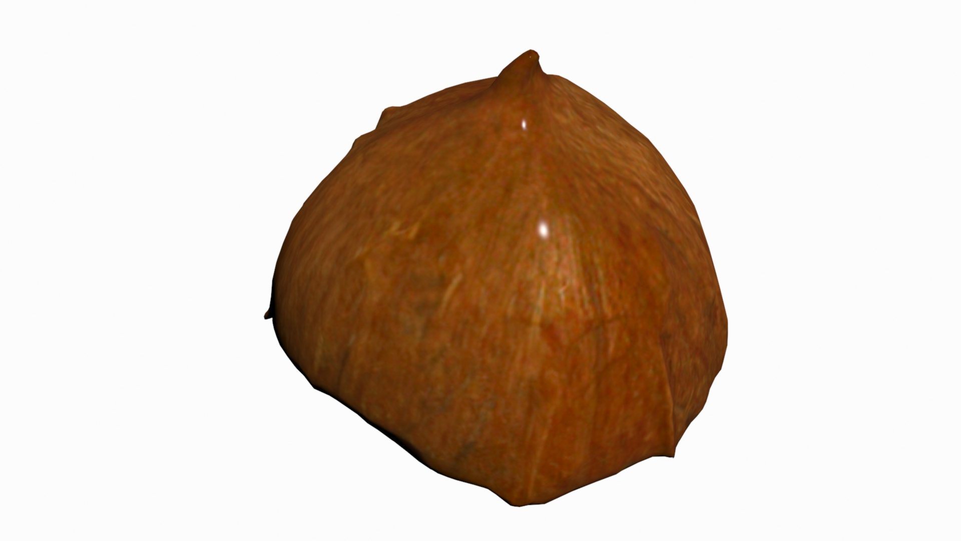 3D Model Coconut Shell - TurboSquid 1627760