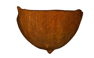 Coconut STL Models for Download | TurboSquid