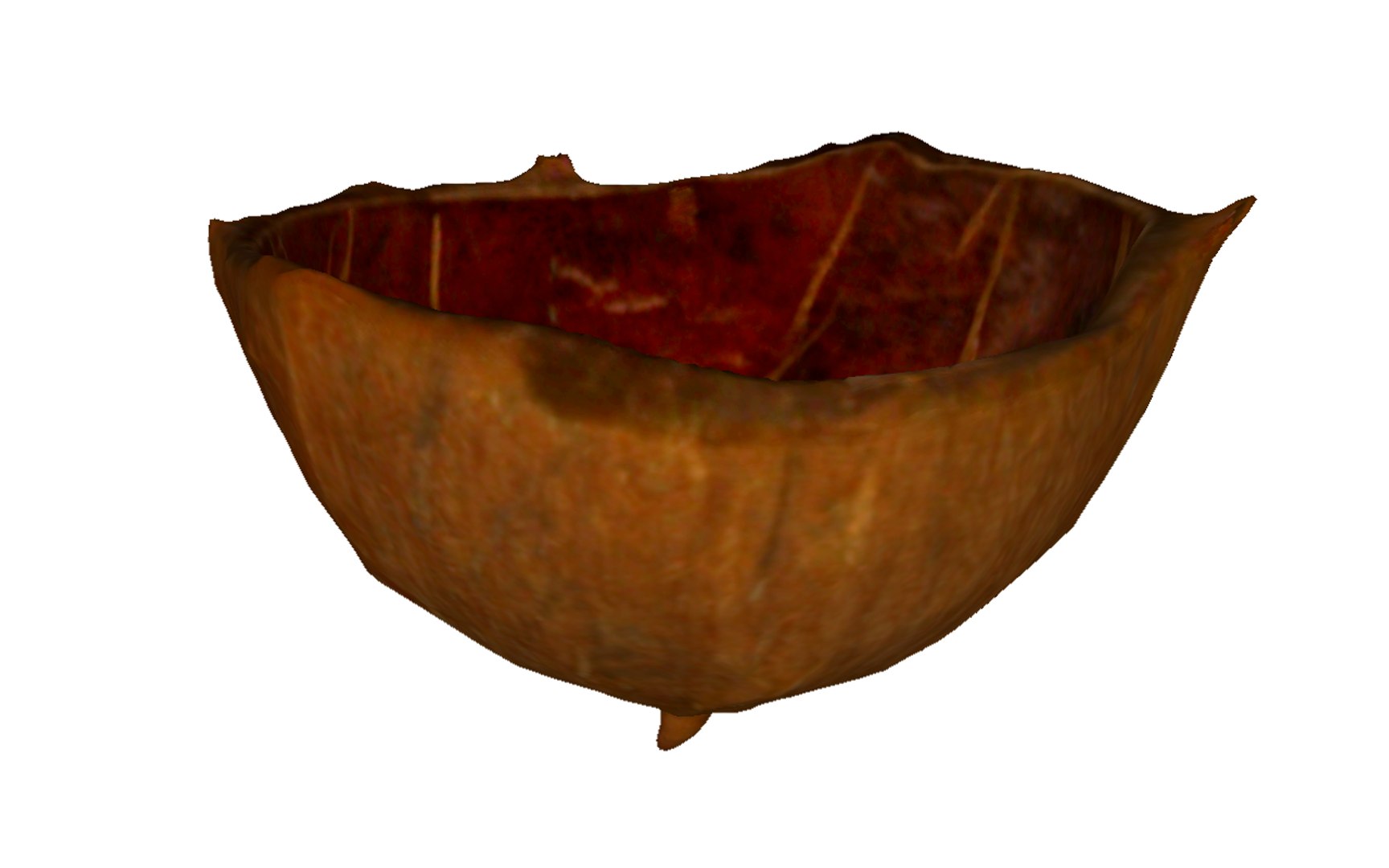 3D Model Coconut Shell - TurboSquid 1627760