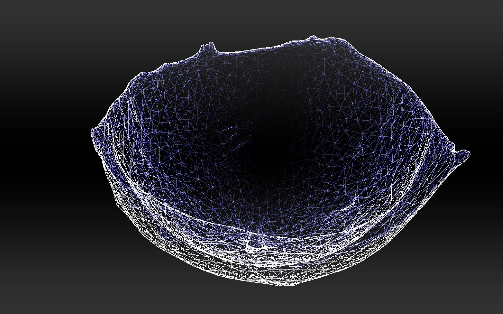 3D Model Coconut Shell - TurboSquid 1627760