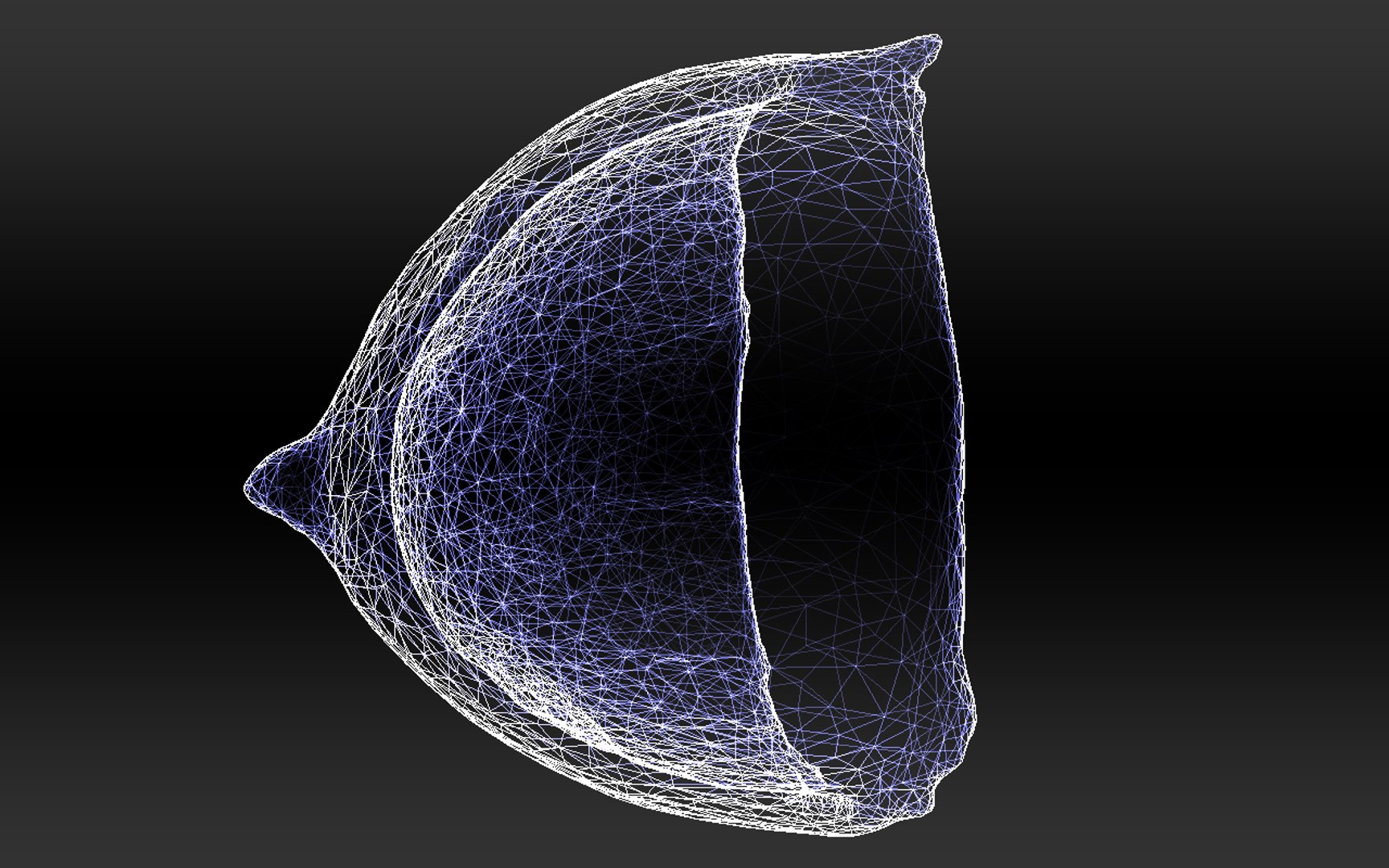 3D Model Coconut Shell - TurboSquid 1627760