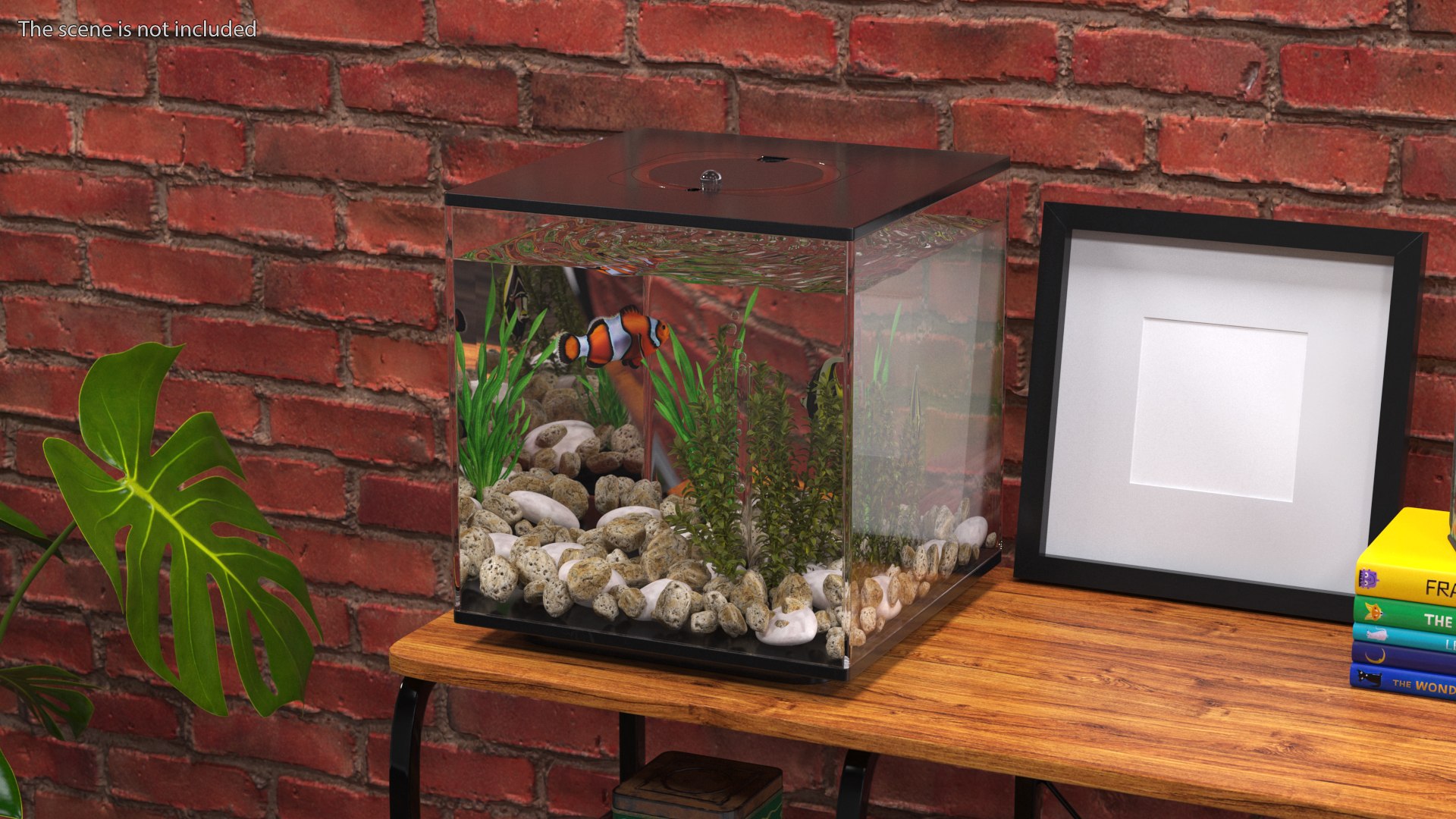 3D Aquarium Cube Black Model - TurboSquid 2135073