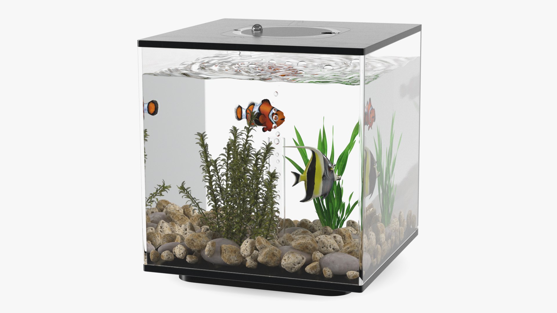 3D Aquarium Cube Black Model - TurboSquid 2135073