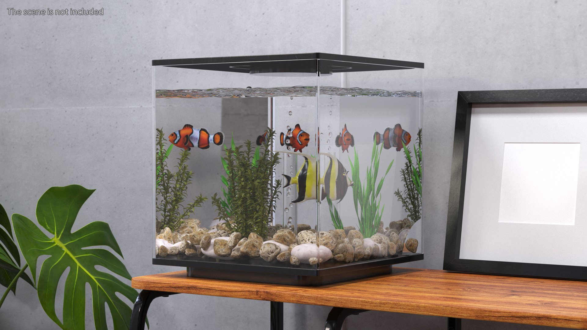 3D Aquarium Cube Black Model - TurboSquid 2135073