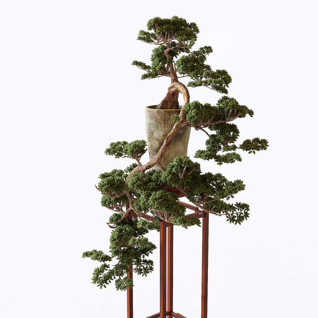 3d model bonsai