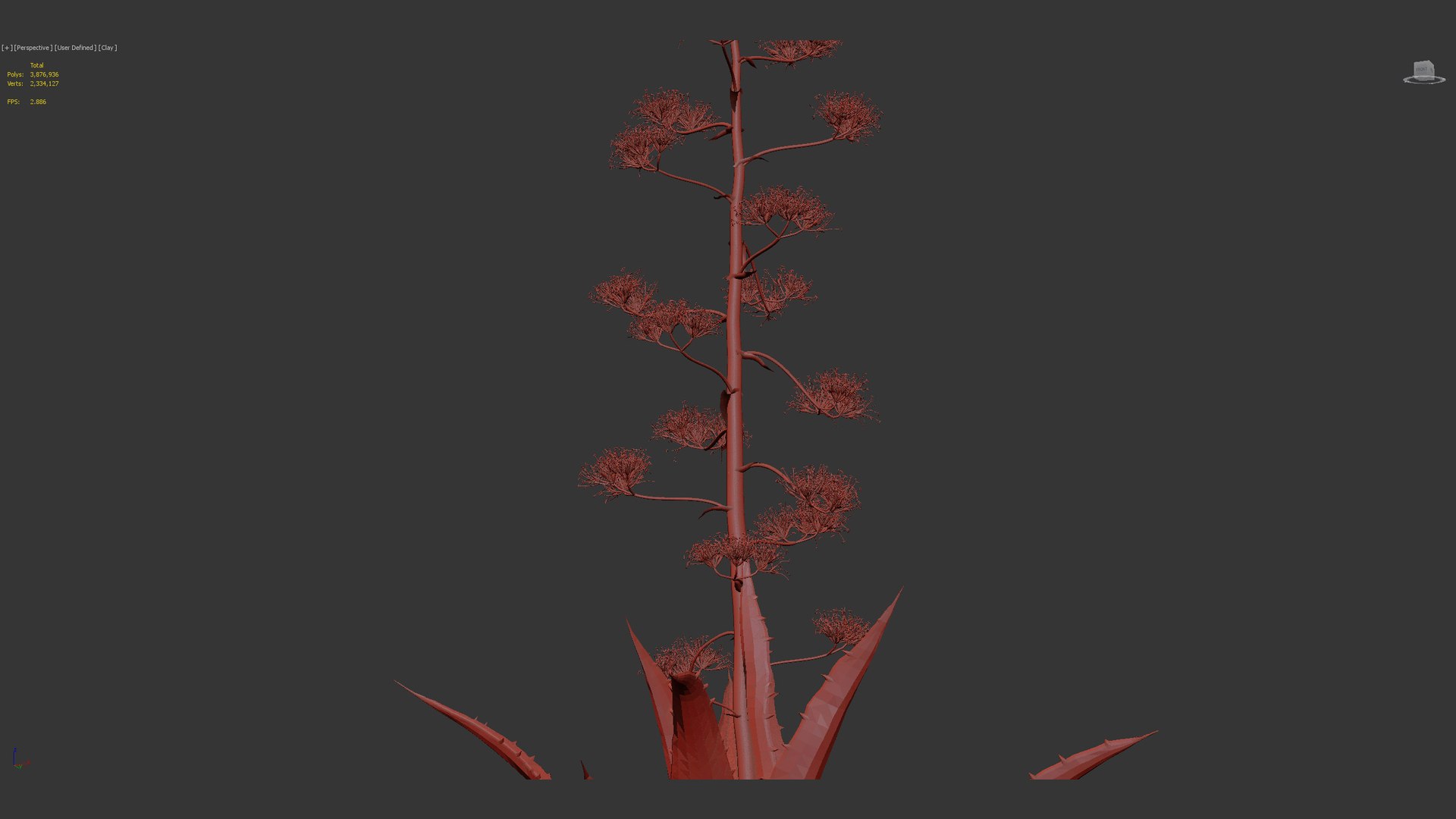 Agave Americana American Agave Model - TurboSquid 2082506