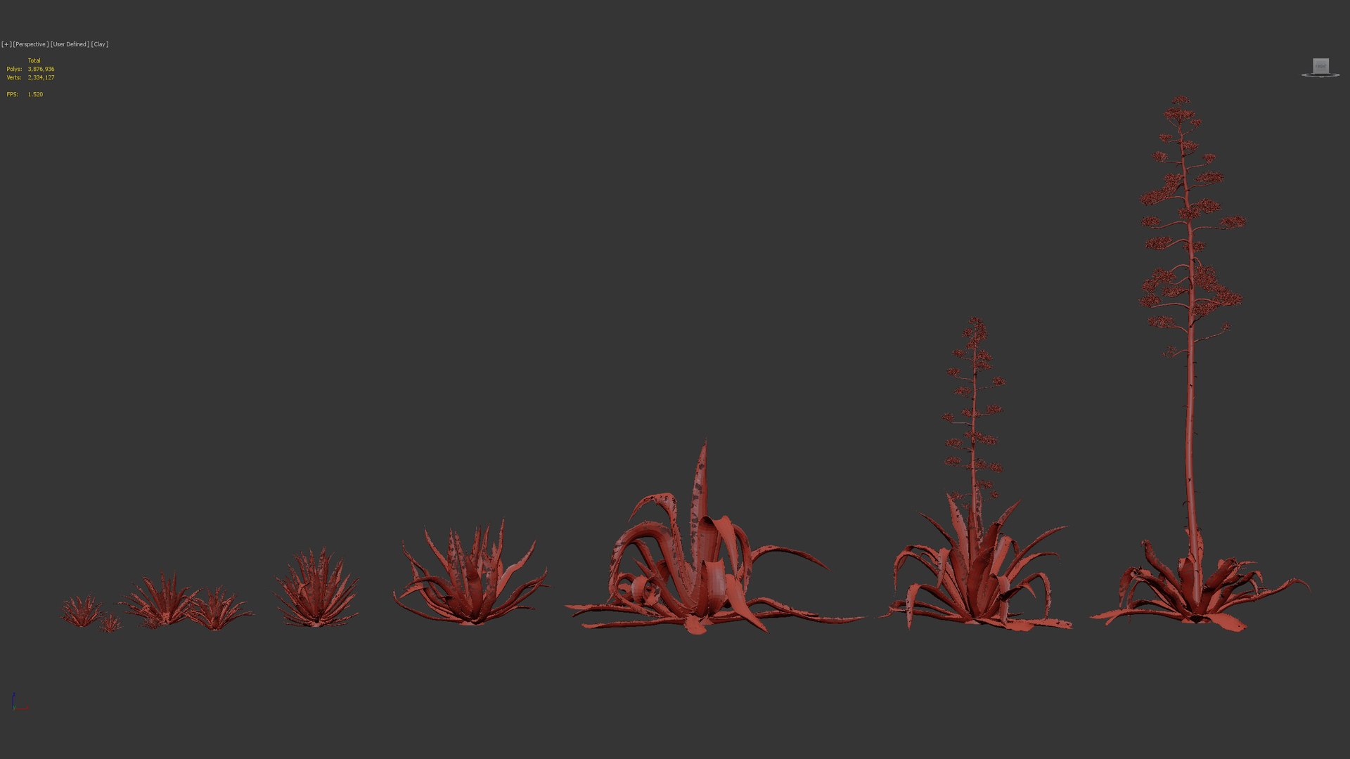 Agave Americana American Agave Model - TurboSquid 2082506