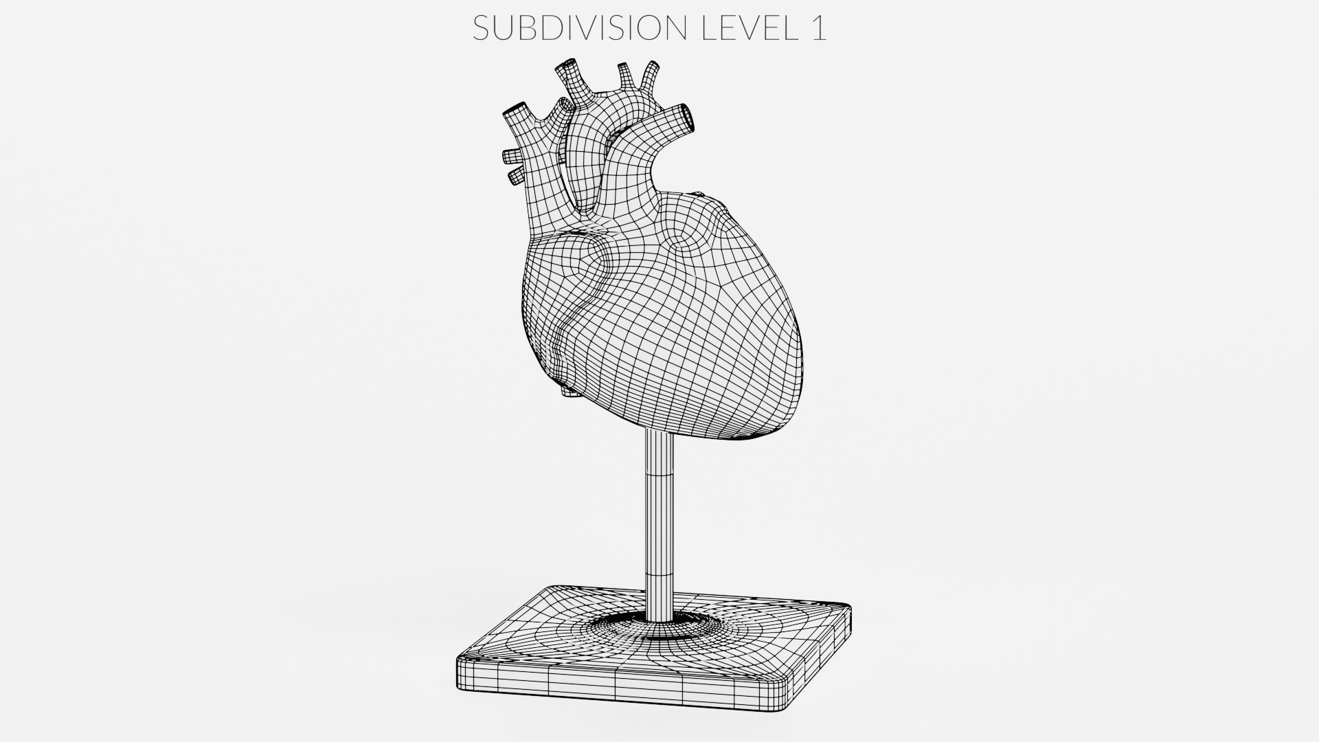 Heart Model Model - TurboSquid 2026478