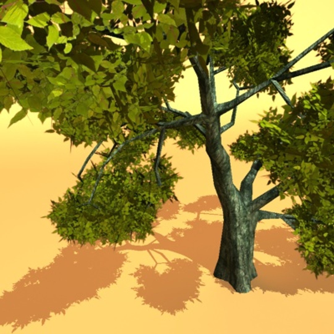3d Trees