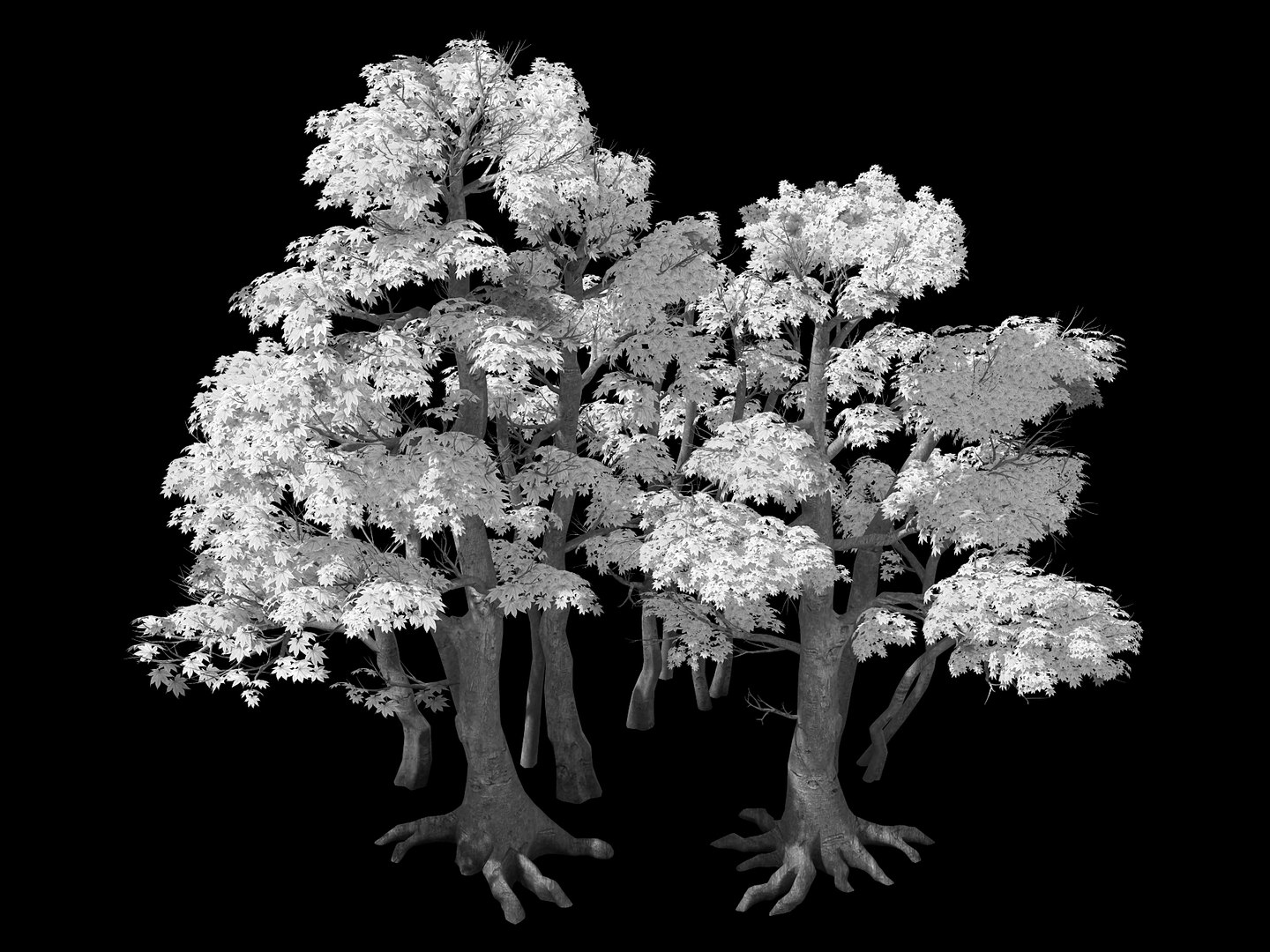 3D Model Forest - Red Tree - TurboSquid 1449180