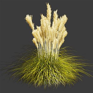 Ornamental Grass STL Models for Download | TurboSquid