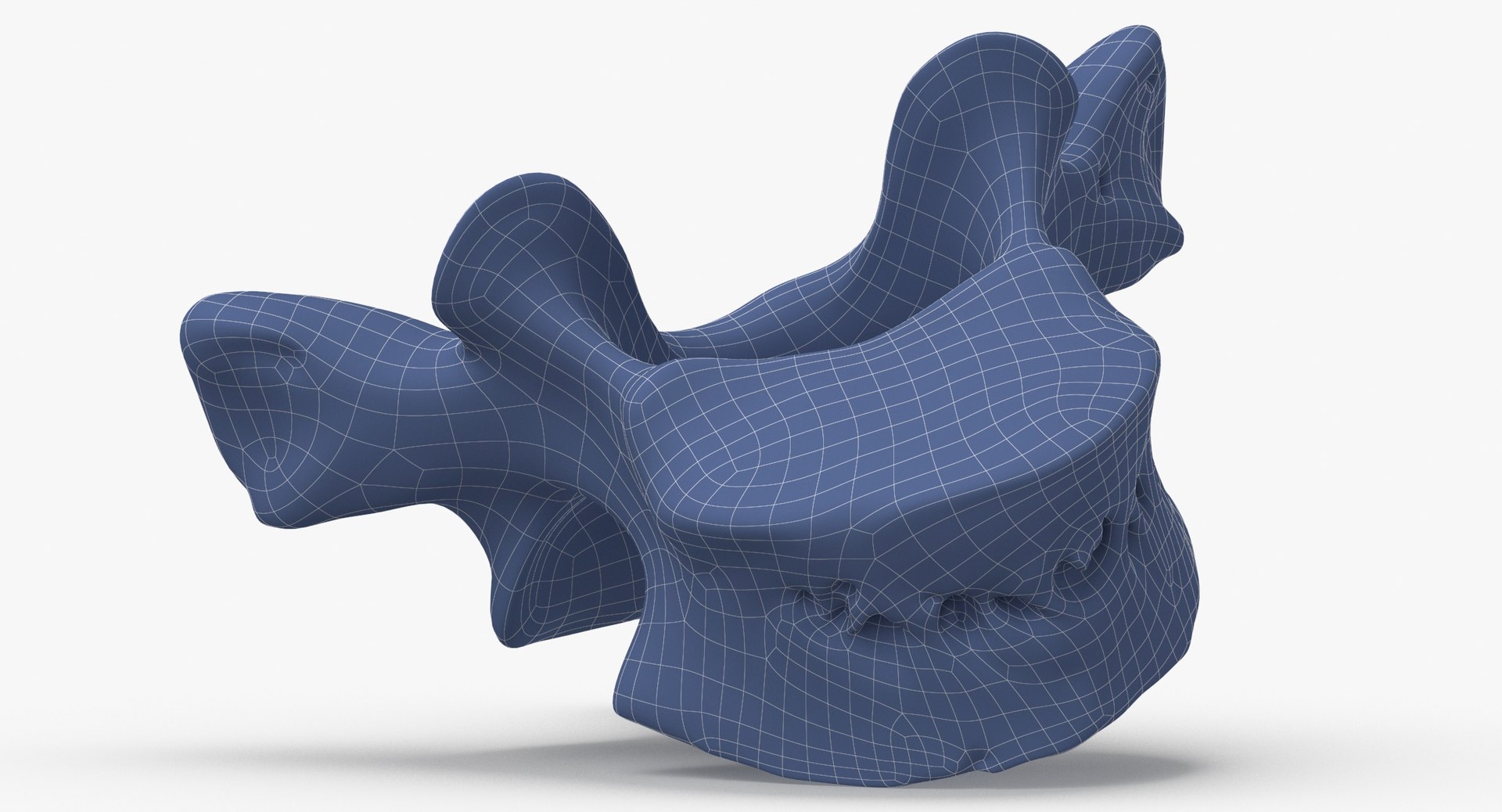 3D Thoracic Vertebrae Th1 Th12 Model - TurboSquid 1563650