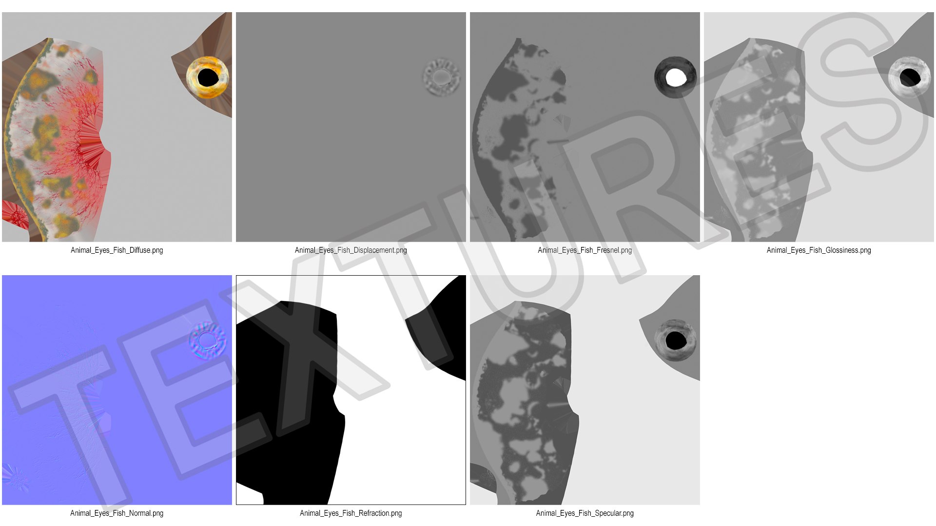 Realistic Fish Eye 3D Model - TurboSquid 2193440