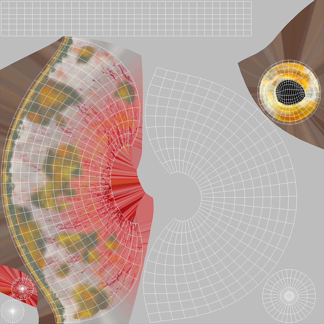 Realistic Fish Eye 3D Model - TurboSquid 2193440