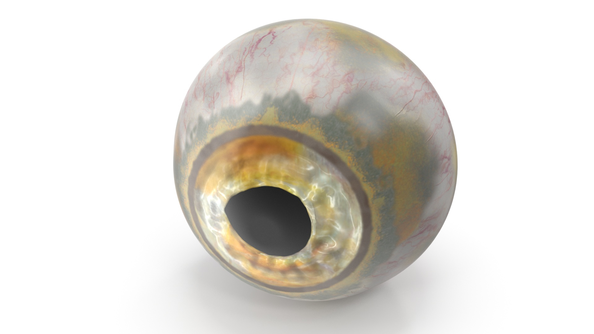 Realistic Fish Eye 3D Model - TurboSquid 2193440