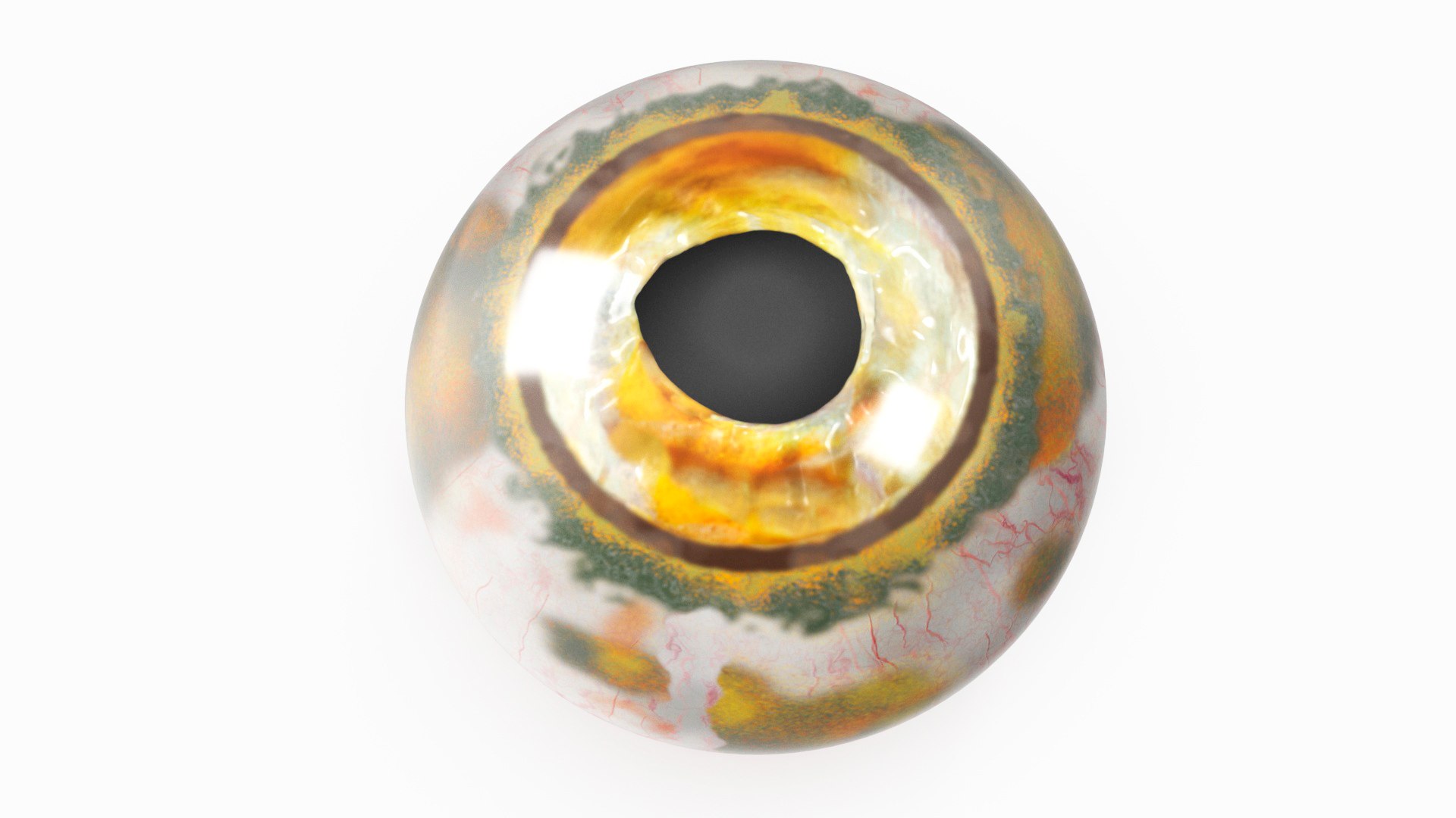 Realistic Fish Eye 3D Model - TurboSquid 2193440