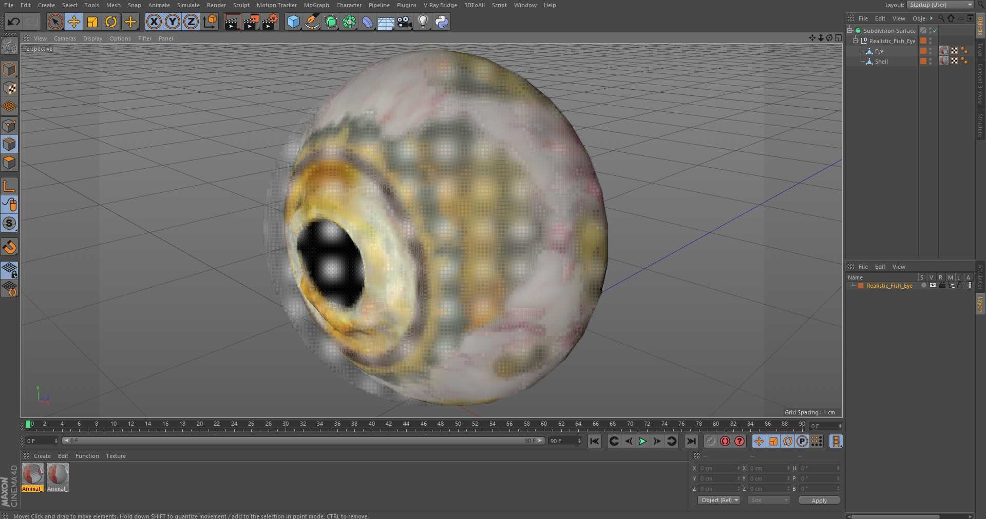 Realistic Fish Eye 3D Model - TurboSquid 2193440
